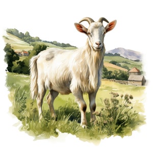 Farm Goat Clipart, Goat Images, 14 Watercolor Clip Art, Printable Jpgs ...