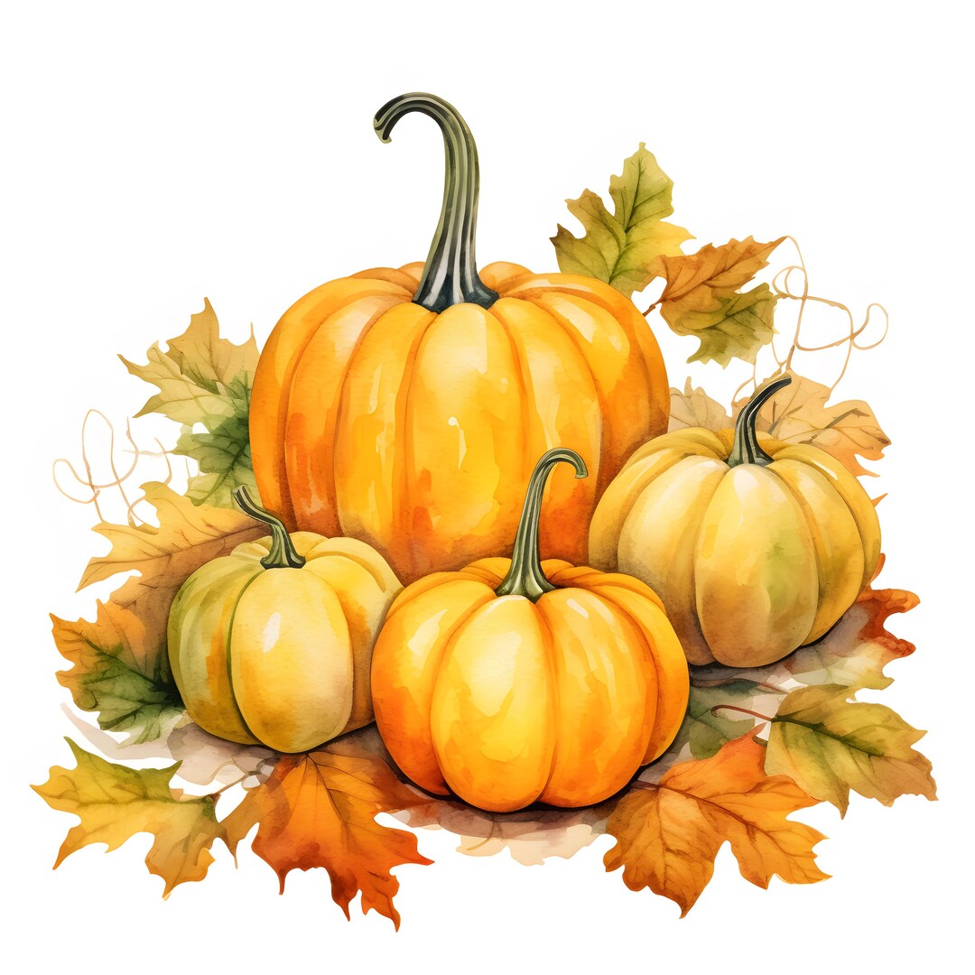 Watercolor Pumpkins Clipart: Autumn Harvest Images (jpgs, Commercial ...