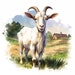 Farm Goat Clipart, Farmyard Goat Images, 10 Watercolor Clip Art ...