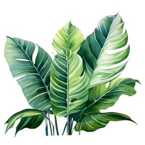 Tropical Leaves Clipart, Green Leaves Images, 10 Watercolor Clip Art ...