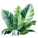 Tropical Leaves Clipart, Green Leaves Images, 10 Watercolor Clip Art ...