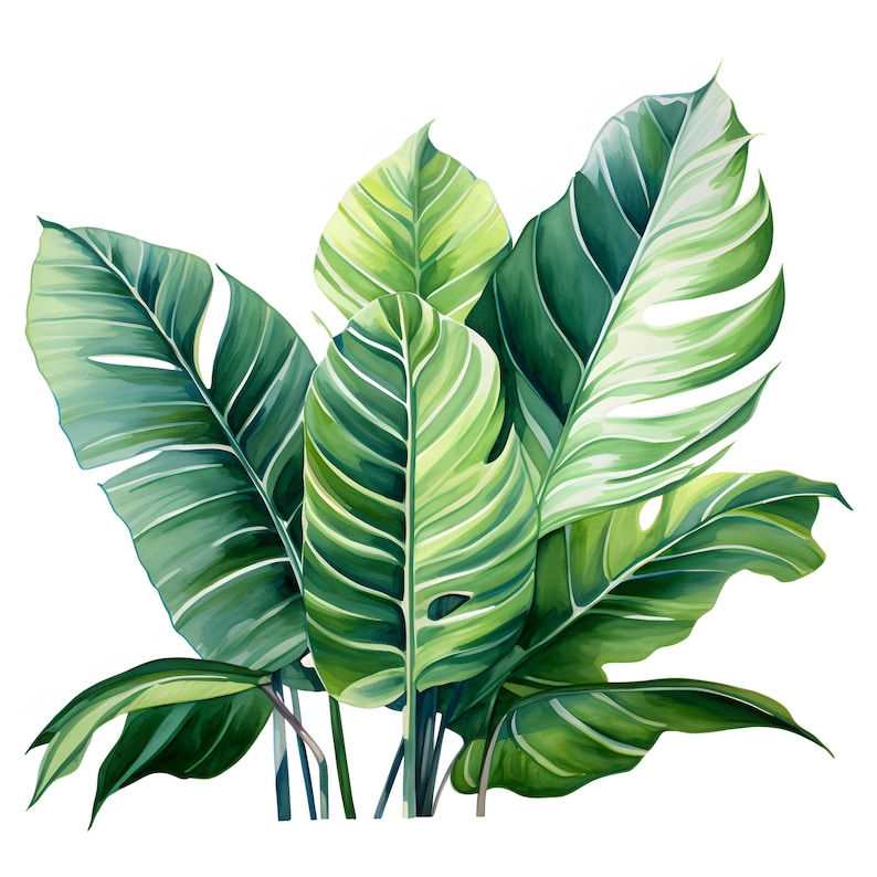 Watercolor Tropical Leaf Clipart: Green Jungle Plant Images (jpgs) - Etsy