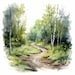 Forest Path Clipart, Path in Woods Images, 10 Watercolor Clip Art ...