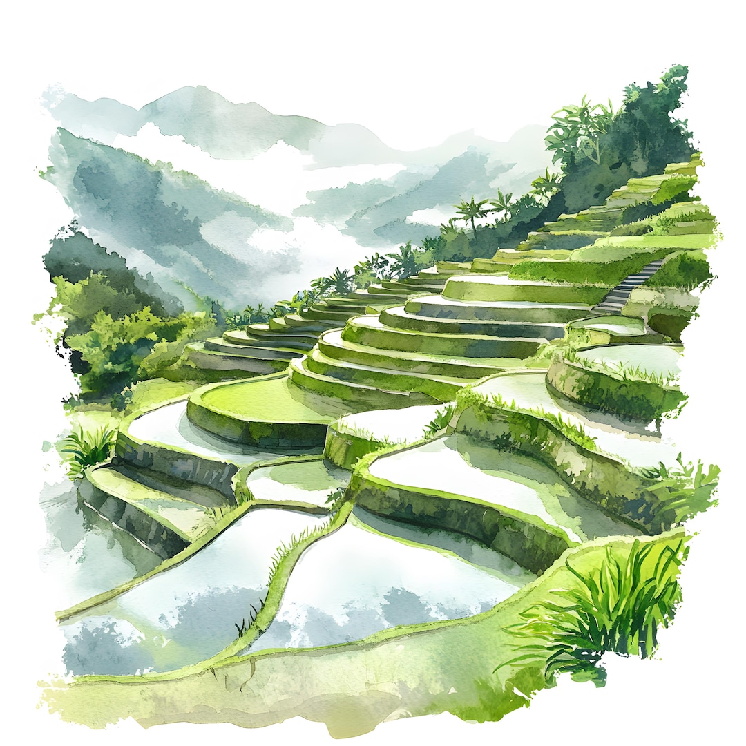 Terraced Fields Clipart, Rice Fields Images, 10 Watercolor Clip Art ...
