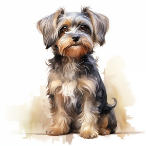 Lowchen Clipart, Little Lion Dog Images, 10 Watercolor Clip Art ...