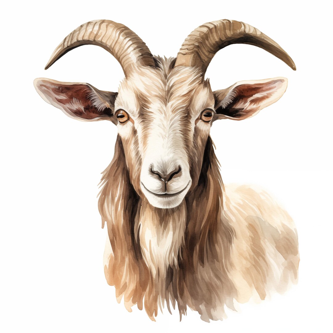 Goat Clipart, Farmyard Goat Images, 13 Watercolor Clip Art, Printable ...