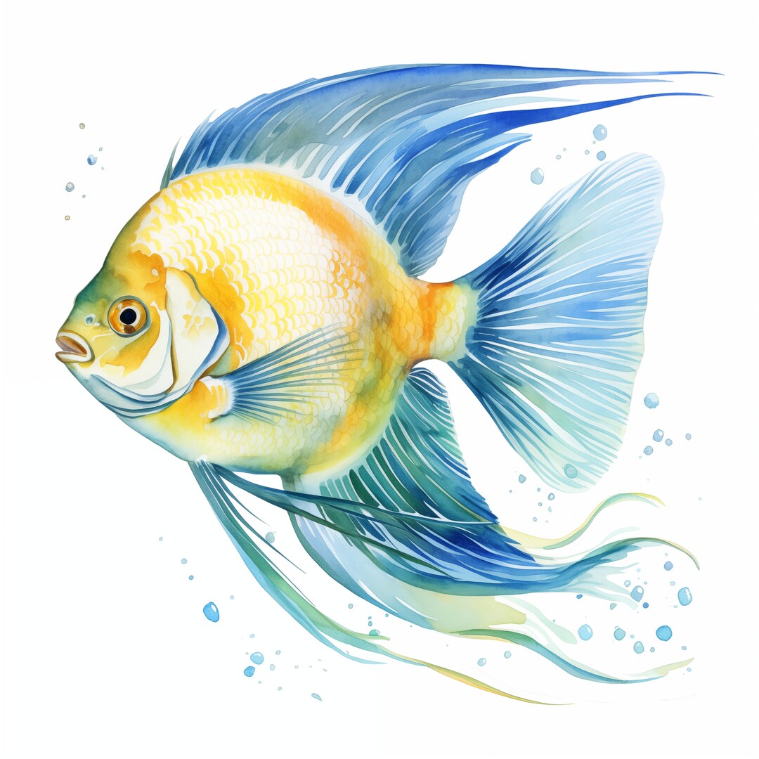 Angelfish Clipart, Angel Fish Images, 10 Watercolor Clip Art, Printable ...