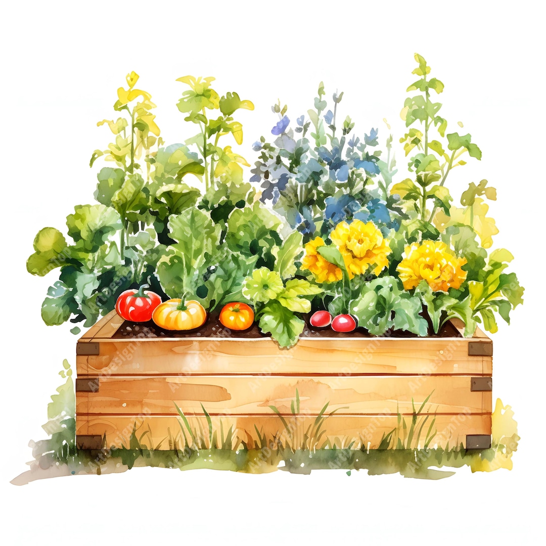 Garden Box Clipart, Vegetables Box Images, 10 Watercolor Clip Art ...