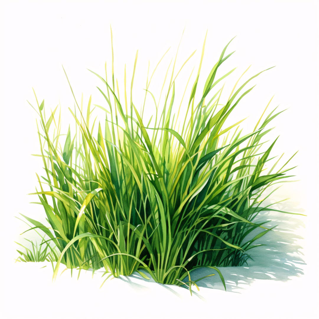 Green Grass Clipart, Lawn and Nature Images, 10 Watercolor Clip Art ...