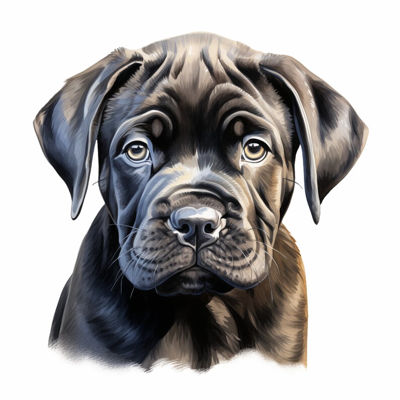 10 Cane Corso, Puppy Dog, Cane Corso JPG, Watercolor Clipart, Printable ...