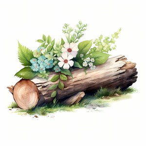 Watercolor Log Clipart: Wildflower Images (jpgs, Commercial Use) - Etsy