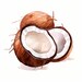 Watercolor Coconut Clipart: Tropical Fruit JPG Images (digital Download ...