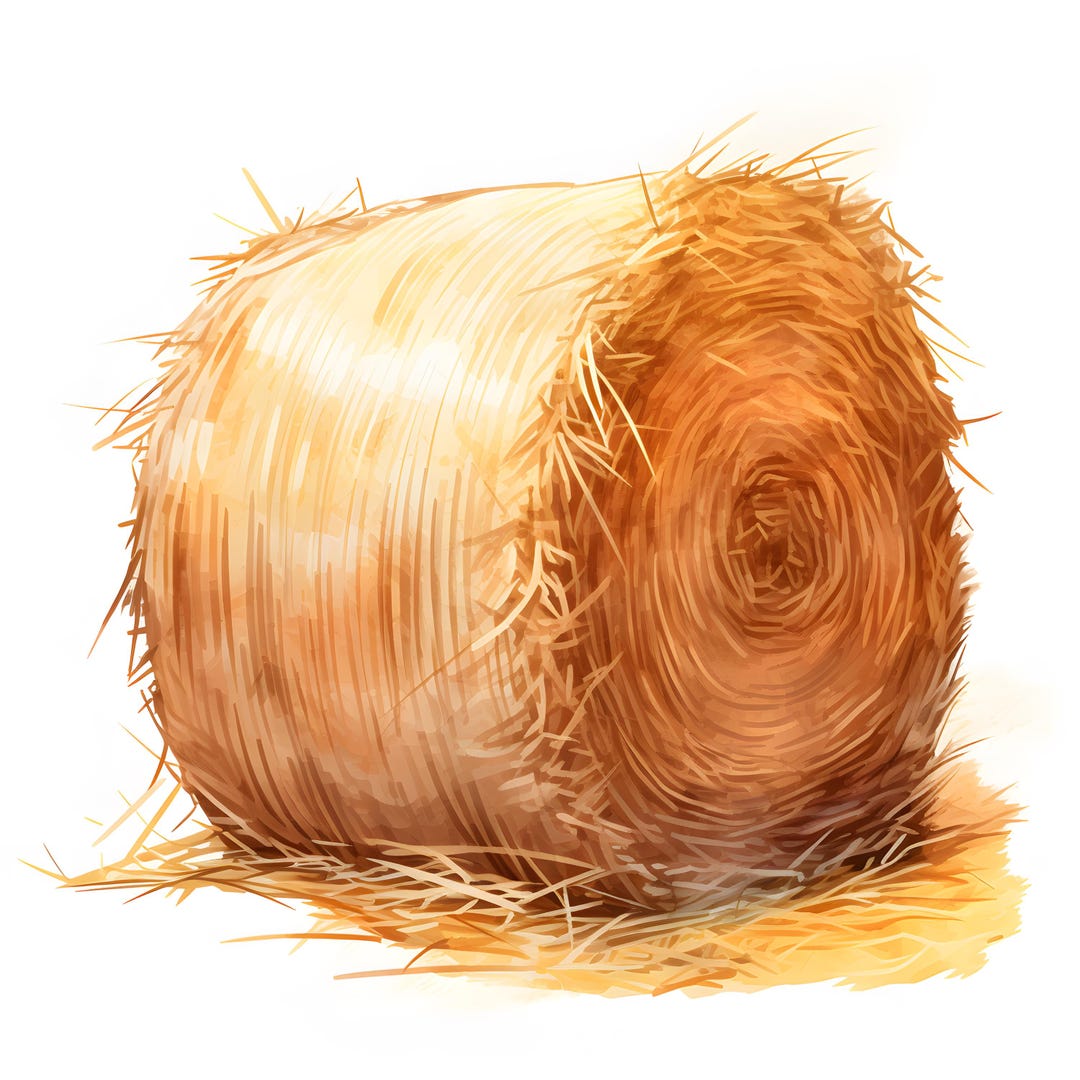 Watercolor Hay Bale Clipart: Farmhouse Illustration (jpgs, Commercial ...