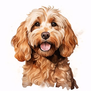 Cockapoo Clipart, Cockerpoo Images, 10 Watercolor Clip Art, Printable ...