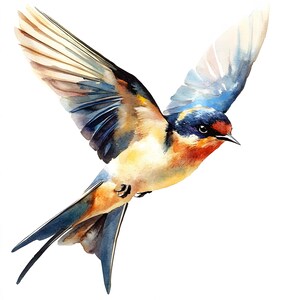 Swallow Clipart, Flying Swallow Bird Images, 10 Watercolor Clip Art ...