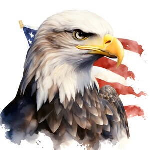 Patriotic Eagle Clipart, Eagle With Usa Flag Images, 10 Watercolor Clip ...