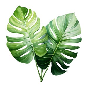 Tropical Leaves Clipart, Green Leaves Images, 10 Watercolor Clip Art ...