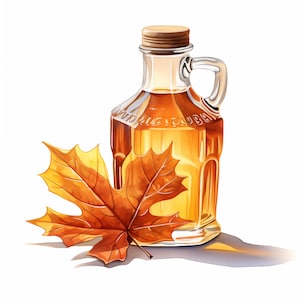 Watercolor Maple Syrup Clipart: Canadian Images (JPG, Commercial Use ...