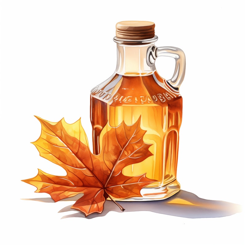 Maple Syrup Clipart, Canadian Maple Syrup Images, 10 Watercolor Clip ...