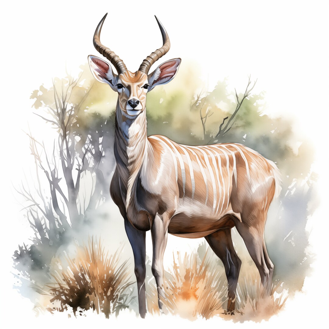 Kudu Clipart, Kudu Antelope Images, 10 Watercolor Clip Art, Printable ...
