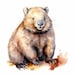 Watercolor Wombat Clipart: 10 JPG Images, Commercial Use (instant ...