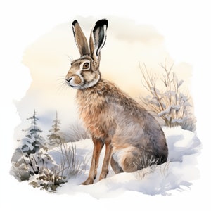 Snow Hare Clipart, Hare in Winter Images, 10 Watercolor Clip Art ...