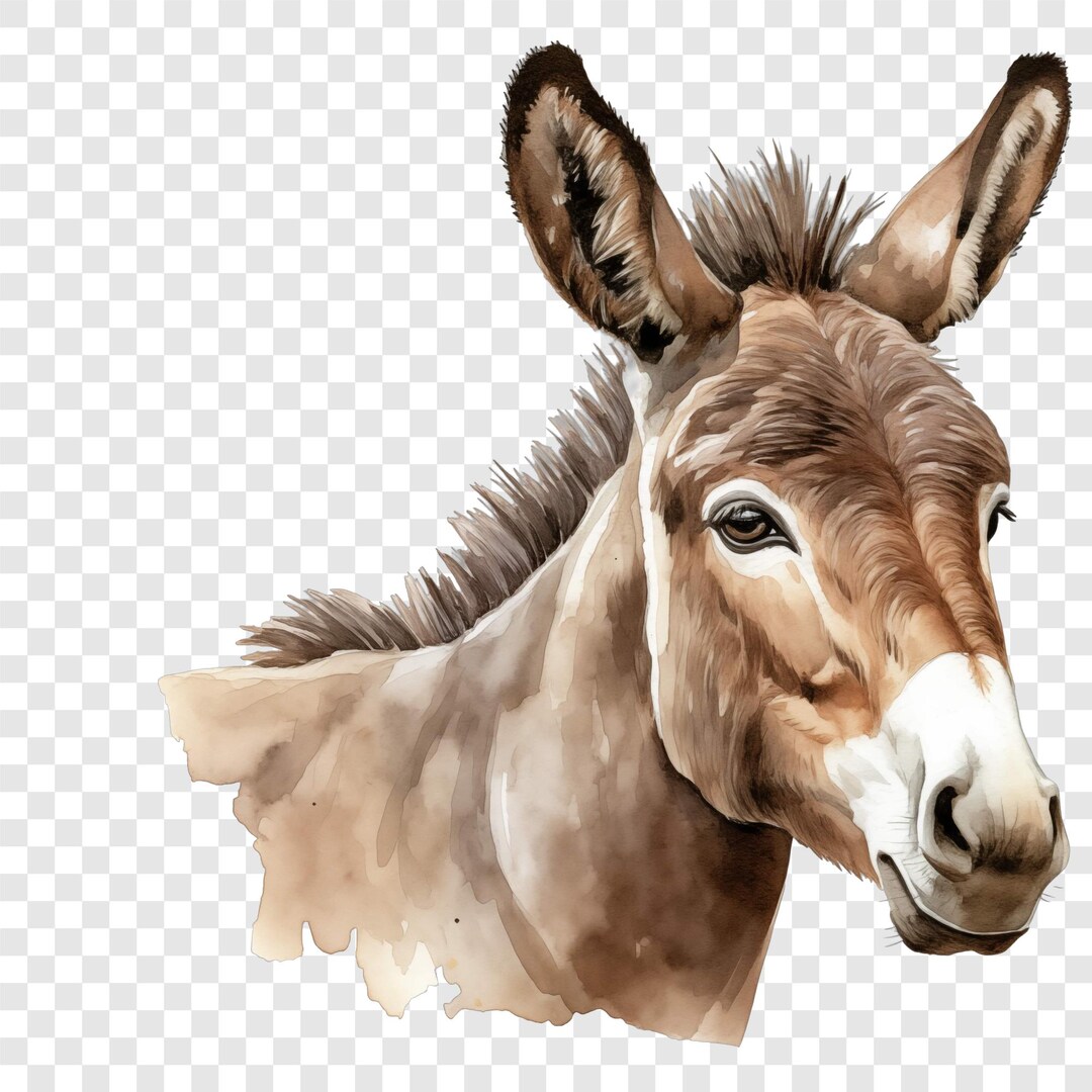 9 PNG Donkey Clipart, Farm Animal Images, Watercolor Clip Art, Instant ...