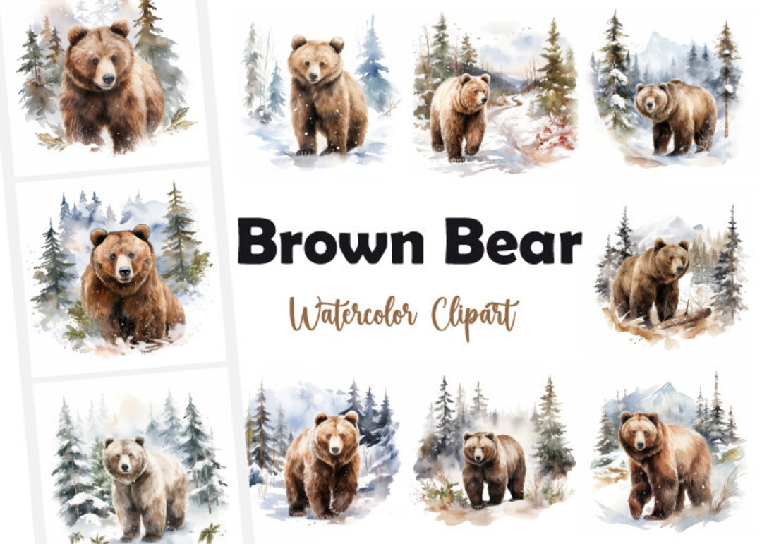 13 Brown Bear, Bear in Winter Clipart, Watercolor Clipart, High Quality ...