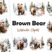 13 Brown Bear, Bear in Winter Clipart, Watercolor Clipart, High Quality ...
