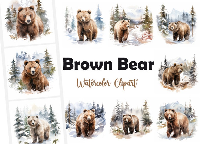 13 Brown Bear, Bear in Winter Clipart, Watercolor Clipart, High Quality ...