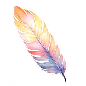 Watercolor Rainbow Feather Clipart: Bird Feather Images (jpgs) - Etsy
