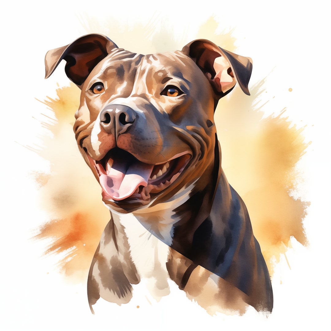 Pit Bull Clipart, American Pitbull Dog Images, 10 Watercolor Clip Art ...