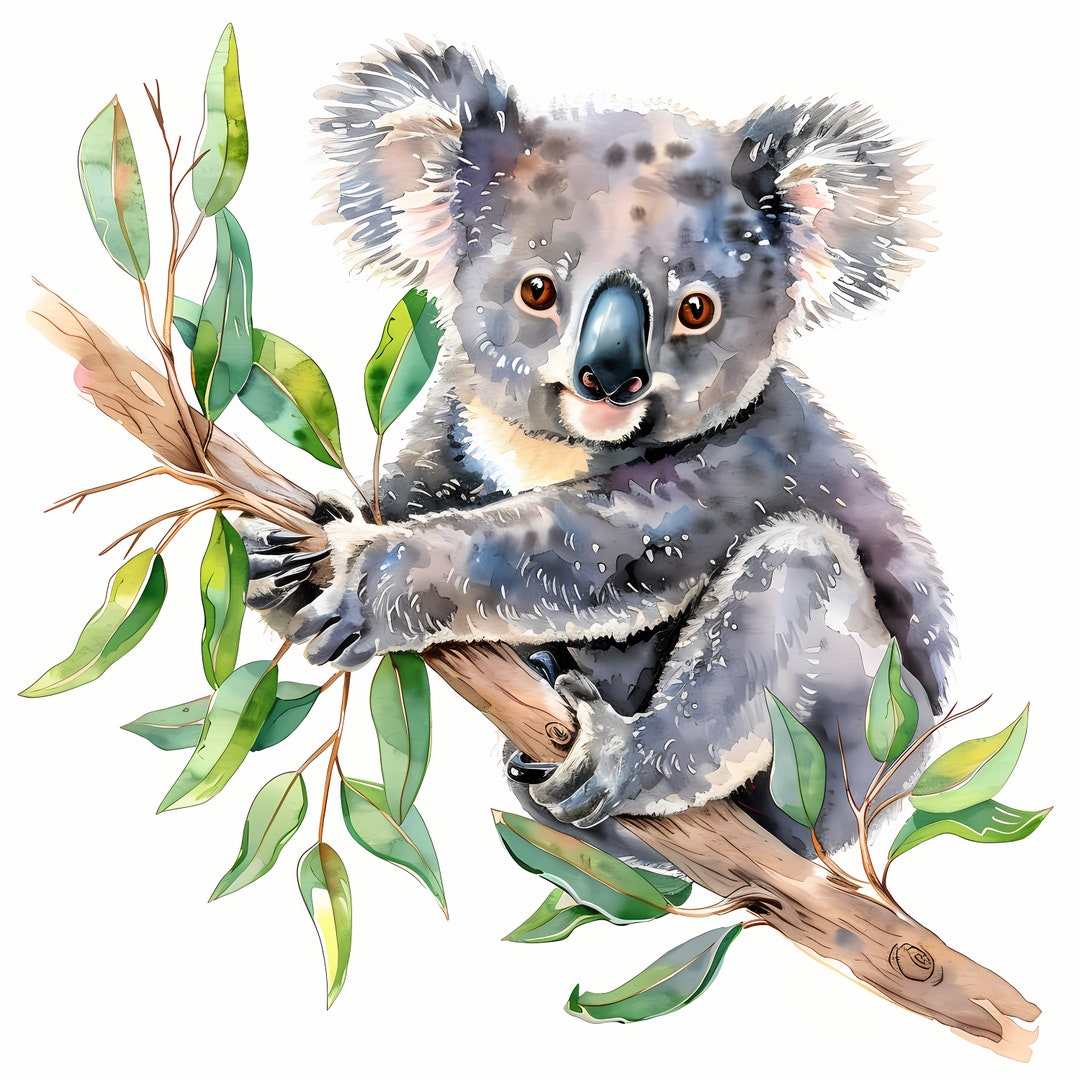 Koala Clipart, Cute Koala Images, 10 Watercolor Clip Art, Printable ...