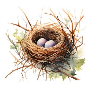 Bird Nest Clipart, Eggs in Nest Images, 10 Watercolor Clip Art ...