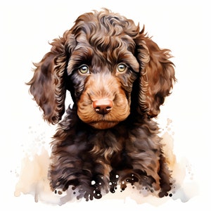 Irish Water Spaniel Clipart, Puppy Dog Images, 10 Watercolor Clip Art ...