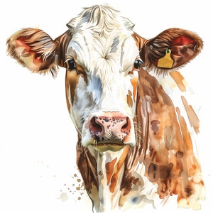 Farm Cow Clipart, Dairy Cows Images, 10 Watercolor Clip Art, Printable ...