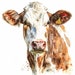 Farm Cow Clipart, Dairy Cows Images, 10 Watercolor Clip Art, Printable ...