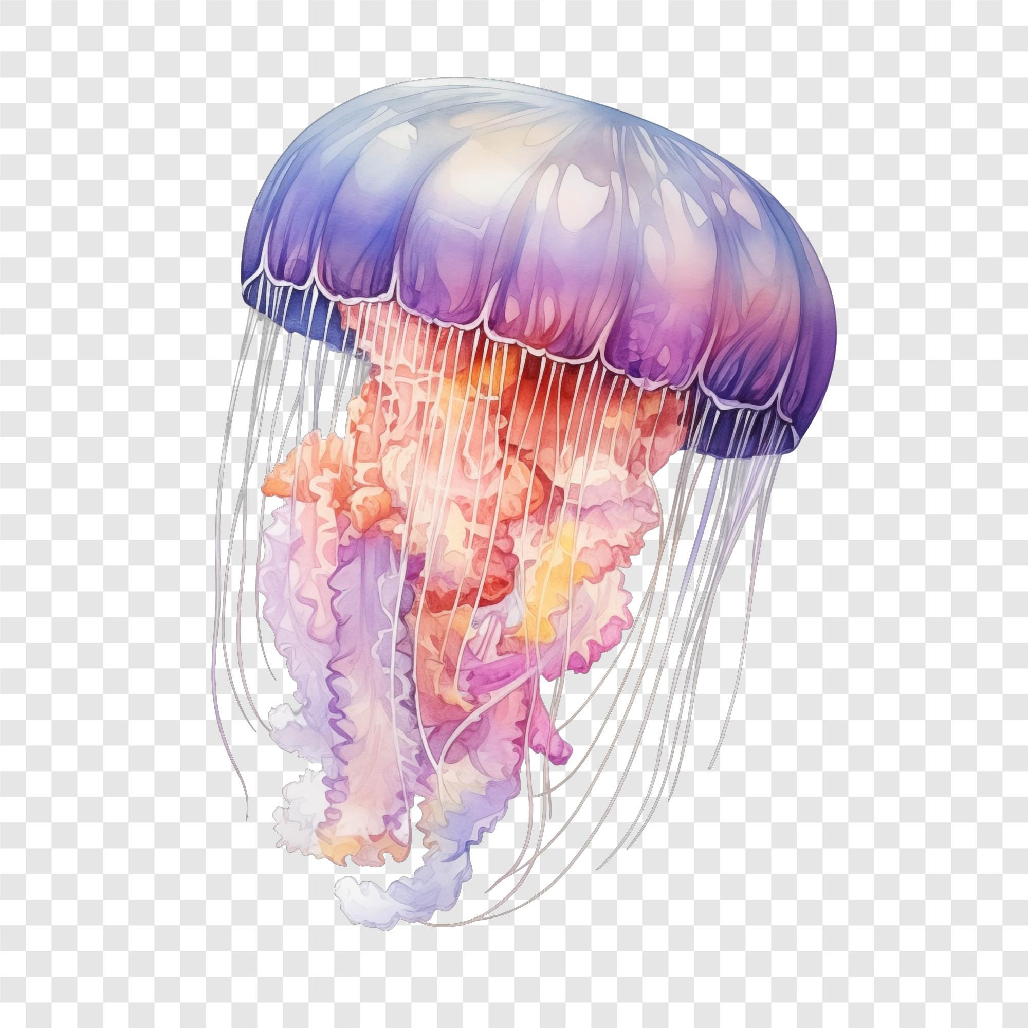 10 PNG Jellyfish Clipart, Ocean Sea Creature Images, Watercolor Clip ...