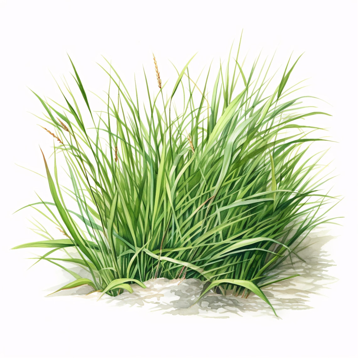Green Grass Clipart, Lawn and Nature Images, 10 Watercolor Clip Art ...