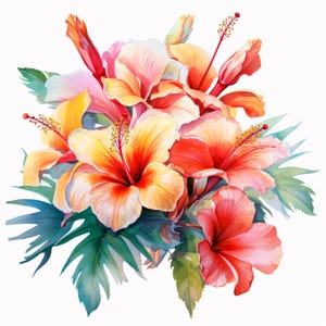 Watercolor Hibiscus Clipart: Tropical Flower Art, Exotic Botanical ...
