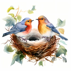 Birds in Nest Clipart, Bird House Images, 10 Watercolor Clip Art ...