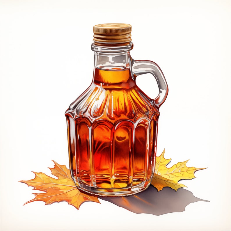 Watercolor Maple Syrup Clipart: Canadian Images (JPG, Commercial Use ...