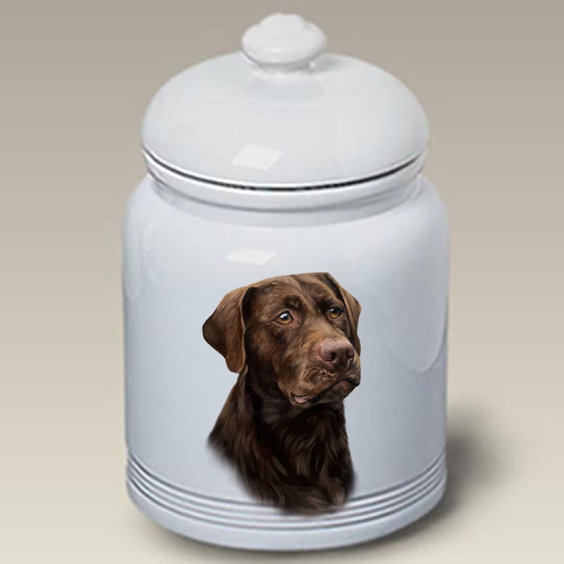 Cat Treats Ceramic Jar - Etsy