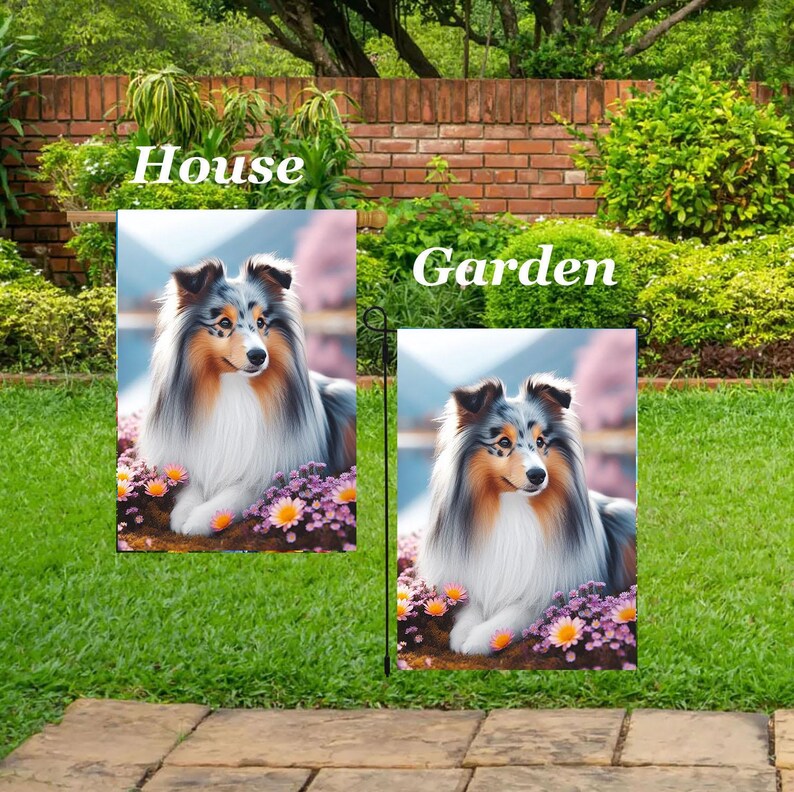 Sheltie Blue Merle - Best of Breed DCR Spring Scene Outdoor House (28 ...