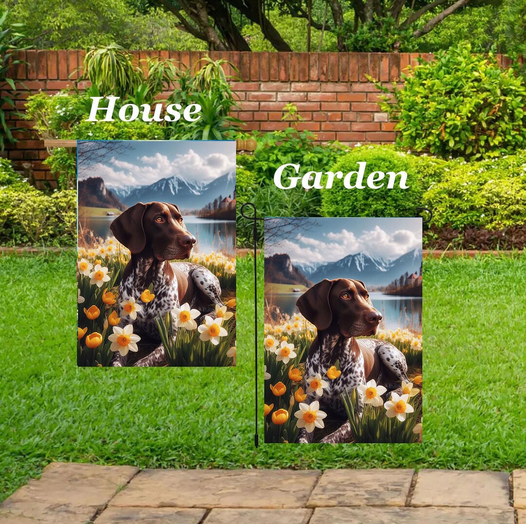 German Shorthair Pointer - Best of Breed DCR Spring Scene Outdoor House ...
