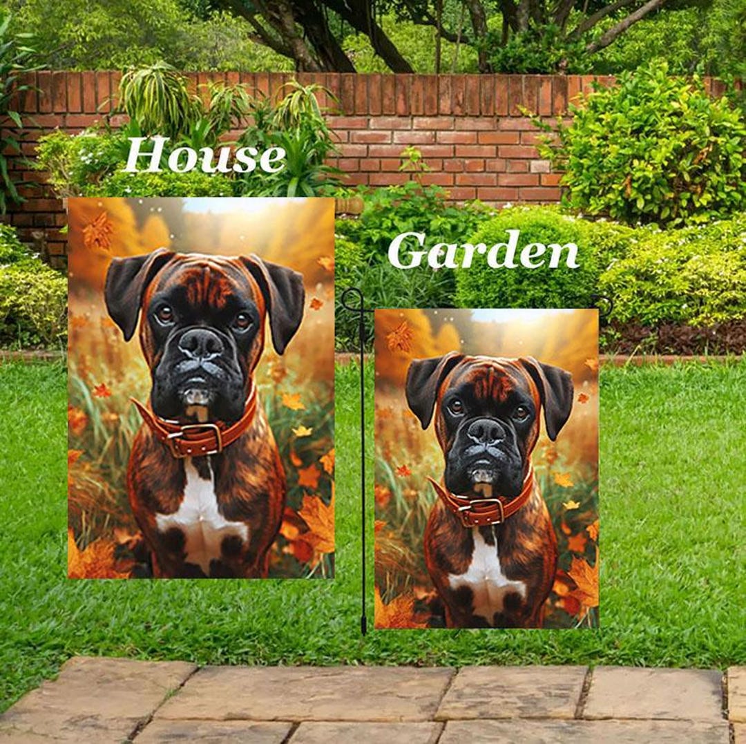 Boxer Brindle Uncropped - Best of Breed DCR Fall Leaves Outdoor House ...