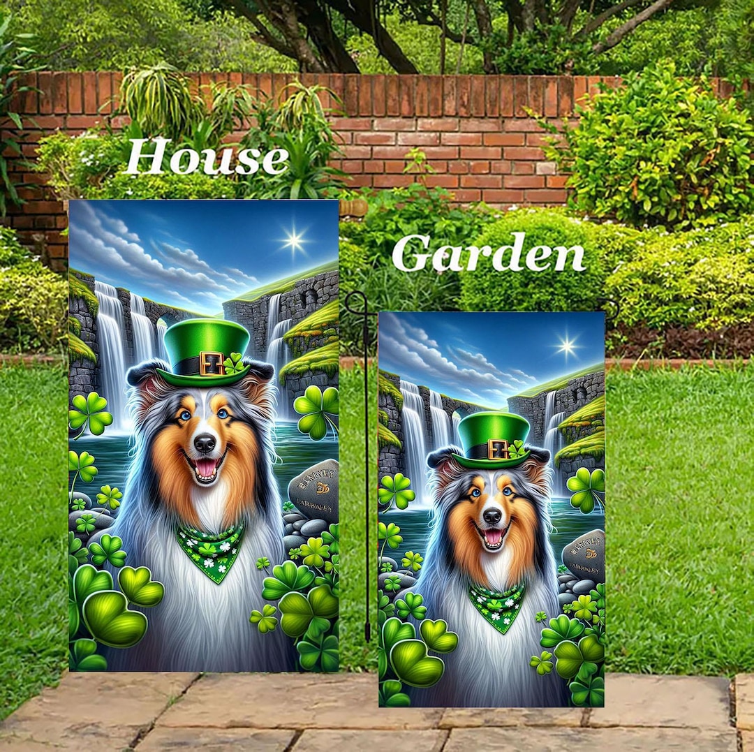 Sheltie Blue Merle - Best of Breed DCR Saint Patrick's Day Outdoor ...