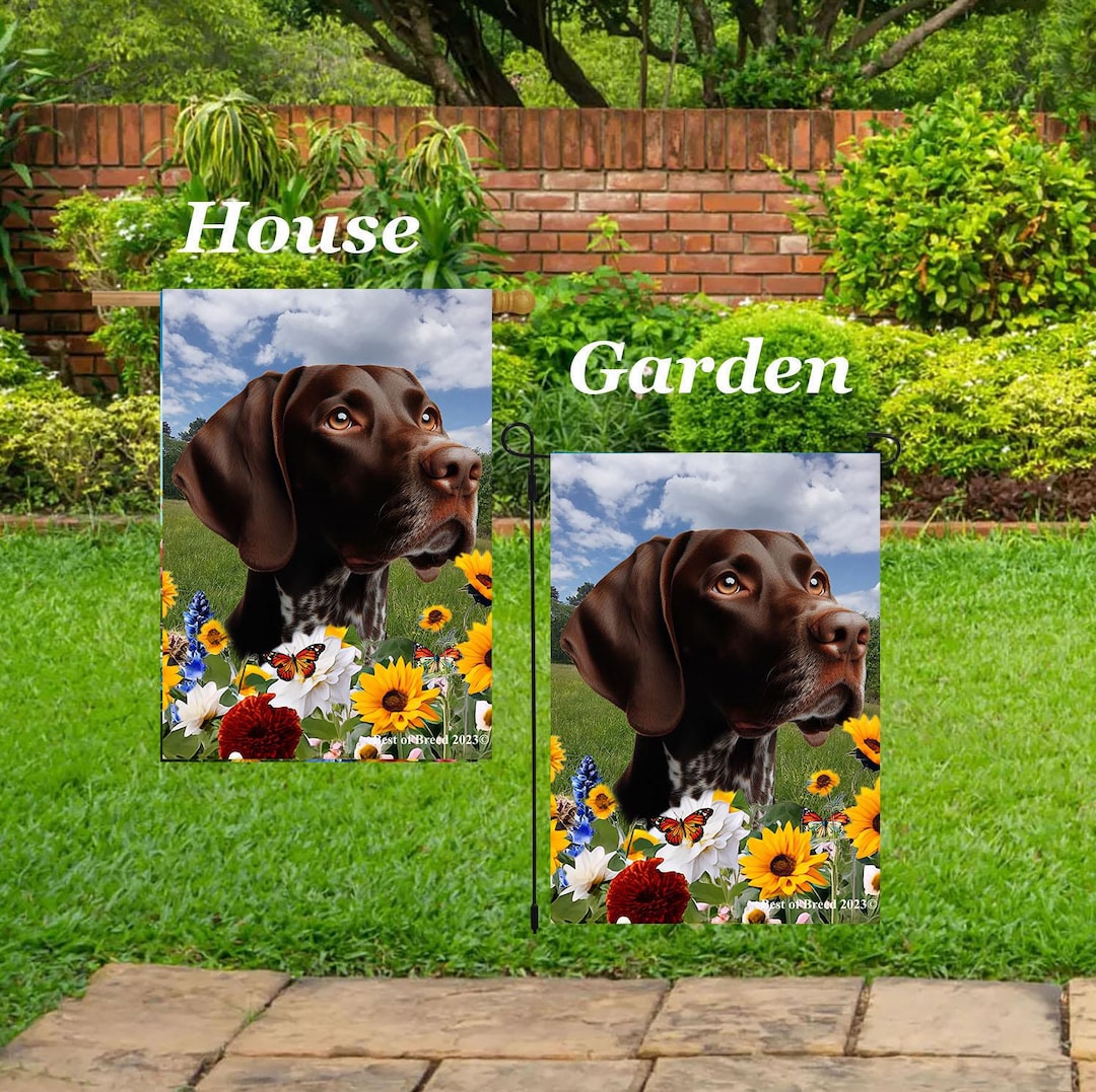 German Shorthair Pointer - Best of Breed Summer Flowers Outdoor House ...