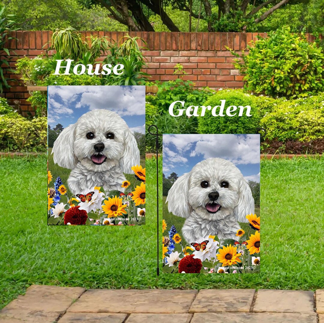 Bichon Frise Show Cut - Best of Breed Summer Flowers Outdoor House (28 ...