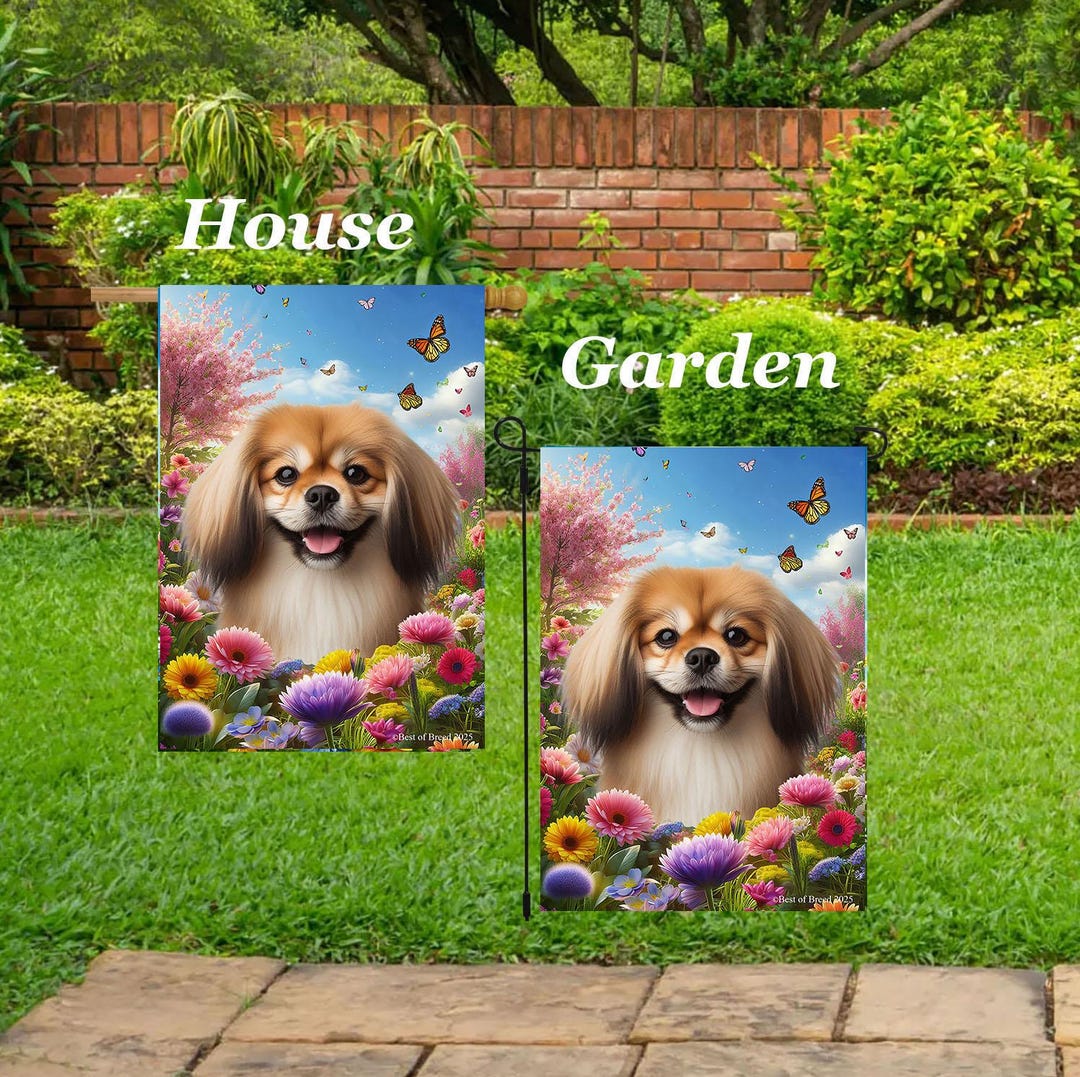 Tibetan Spaniel Fawn - Best of Breed Spring Butterflies Outdoor House ...
